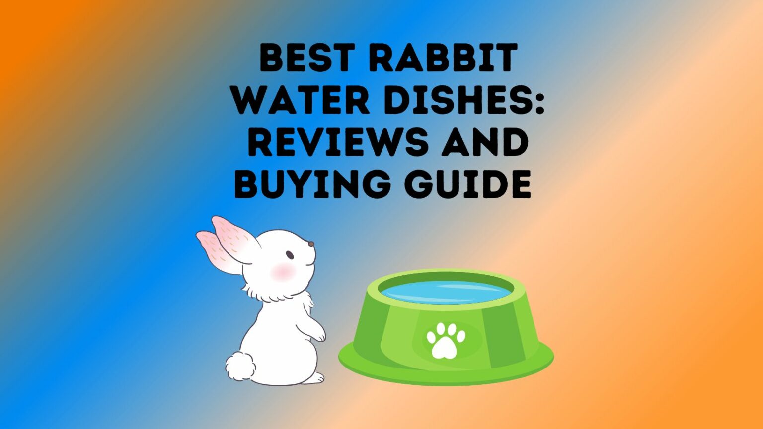 5 Best Rabbit Water Dishes: Reviews and Buying Guide - Pet Feeder Tips